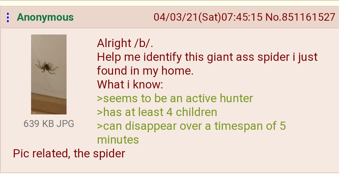 Anon has a spider problem. | Scrolller