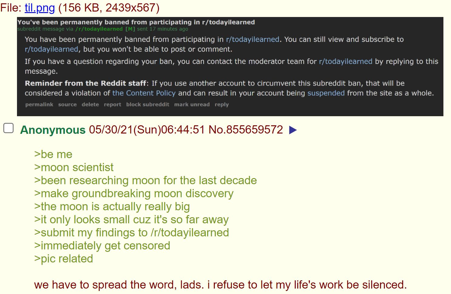 Anon makes a groundbreaking discovery about the moon | Scrolller