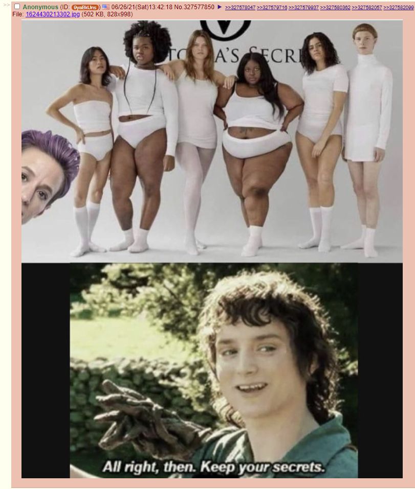 Anon on new Victoria's Secret models | Scrolller