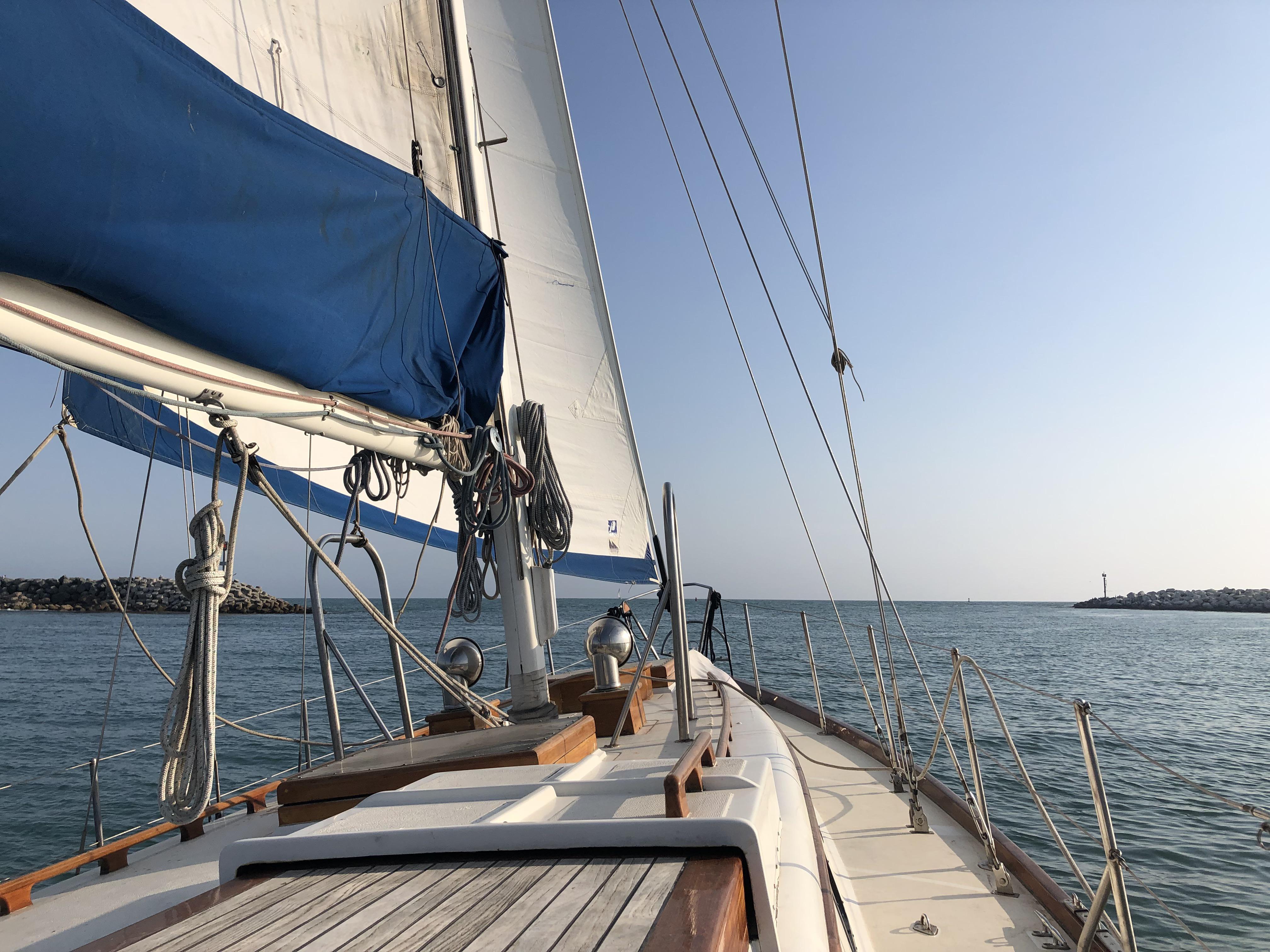 Another day, another sail | Scrolller