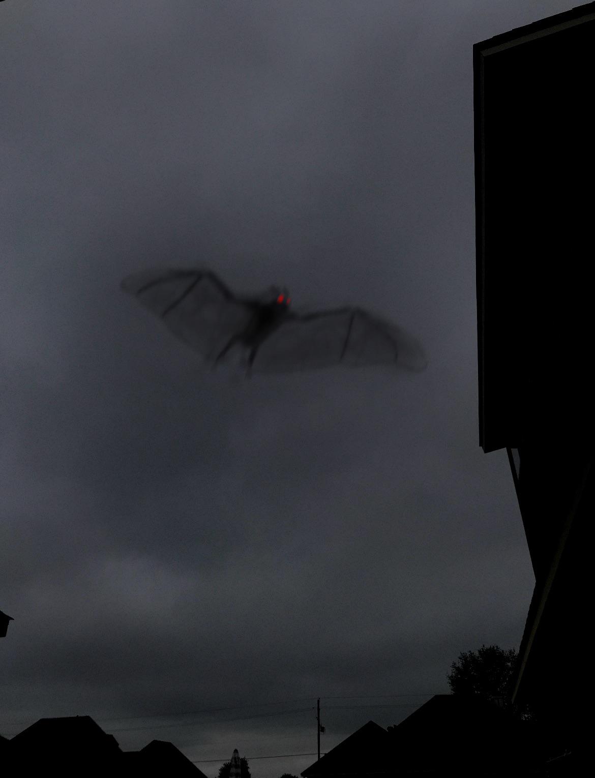 Another Mothman sighting | Scrolller