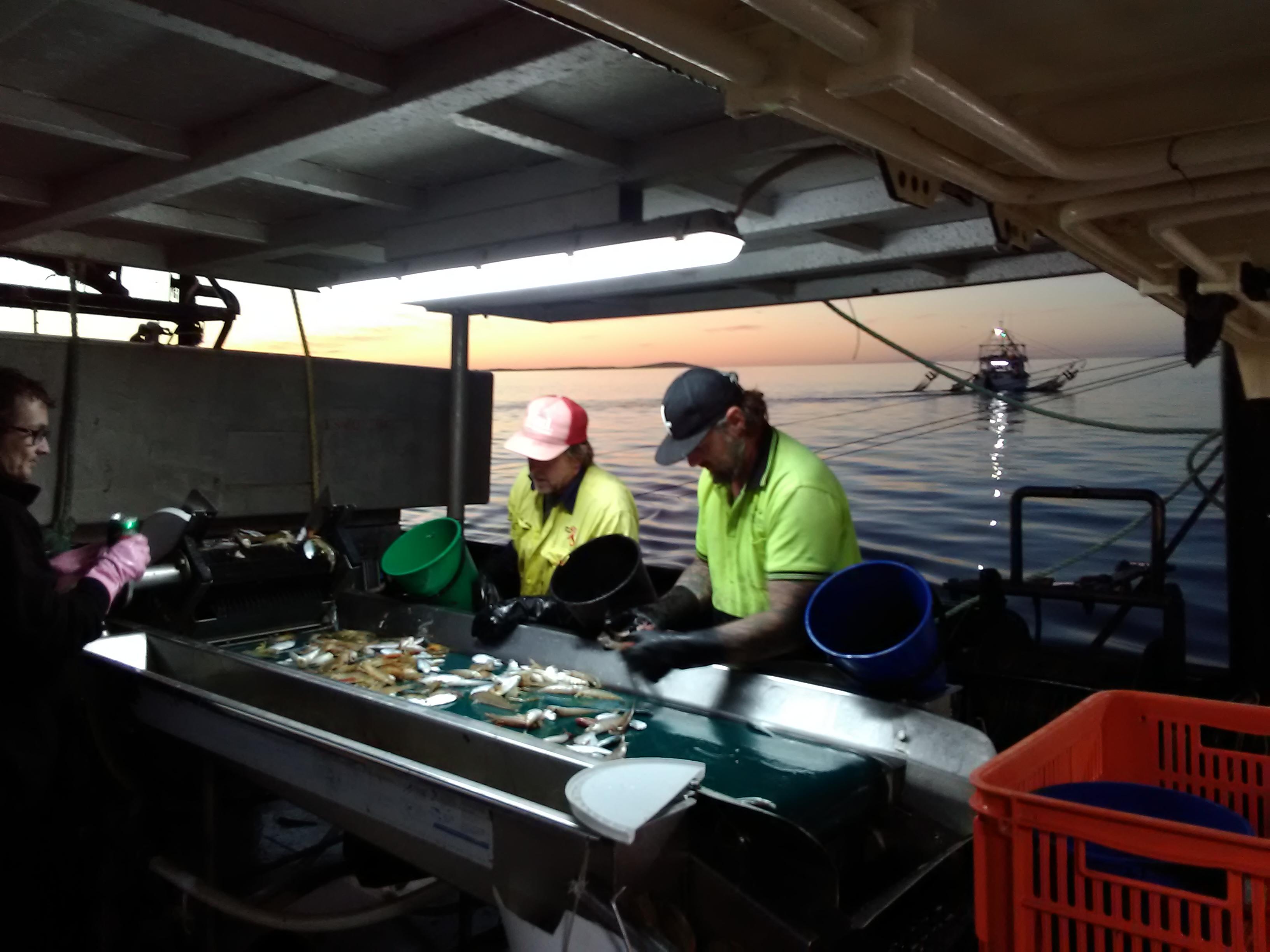 Another Sunset in Queensland | Scrolller