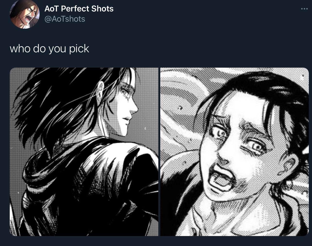 AOT Perfect Shots?! | Scrolller