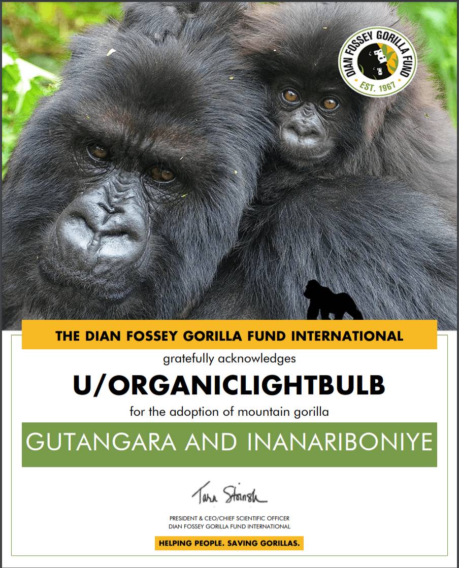 Ape see, Ape do | Scrolller