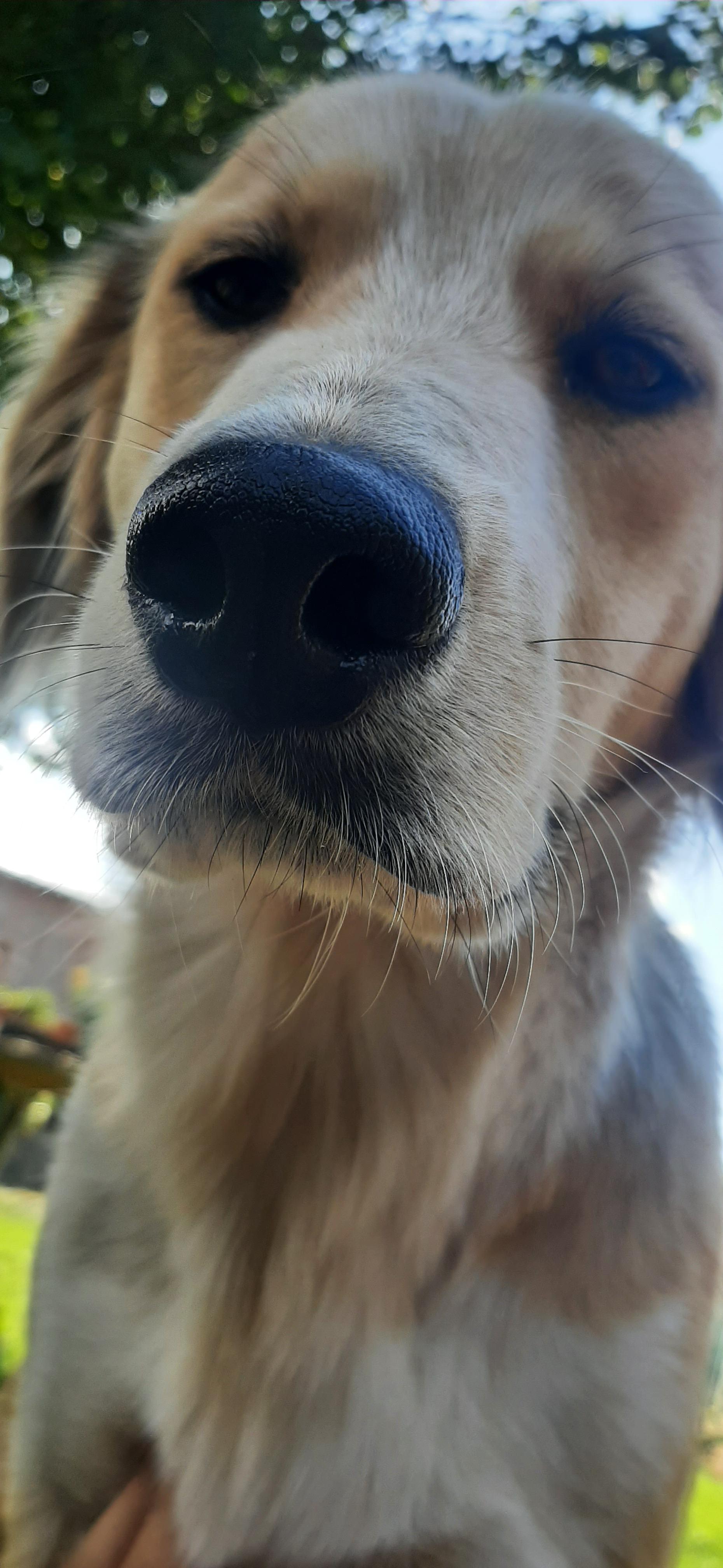 Apollo being nosy | Scrolller