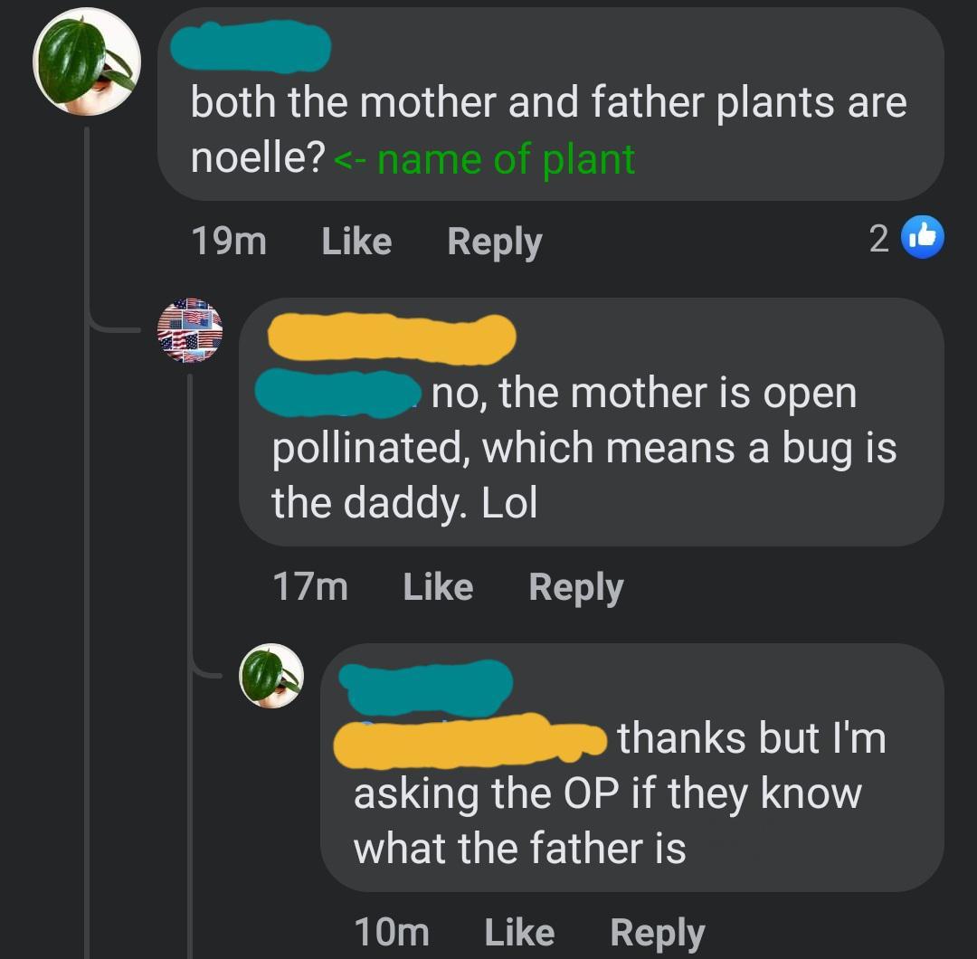 Apparently, bugs are daddies | Scrolller