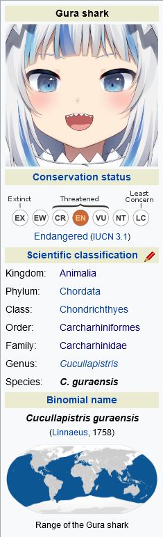 Apparently Gura is endangered | Scrolller
