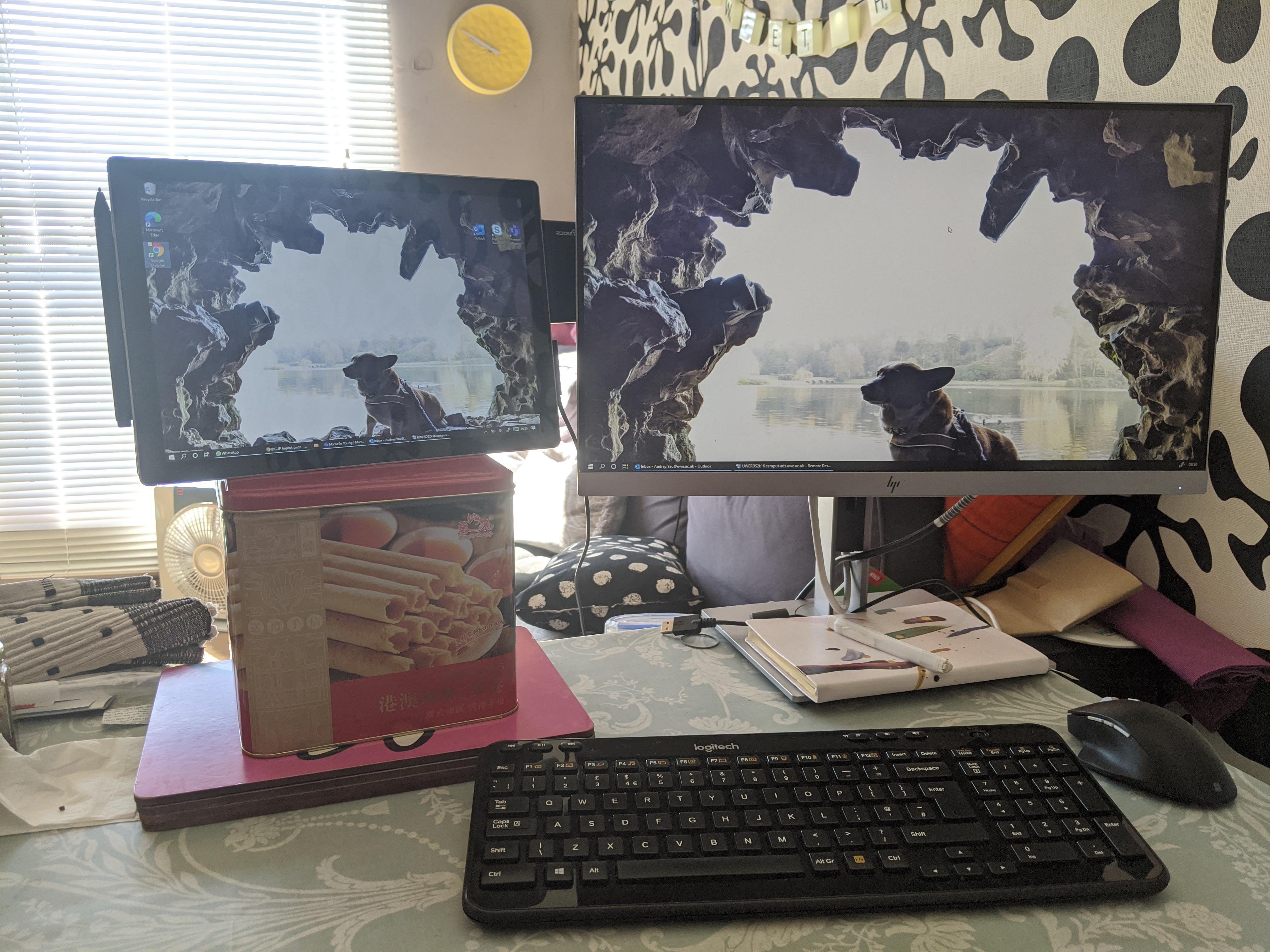 Appreciating my root: WFH edition | Scrolller