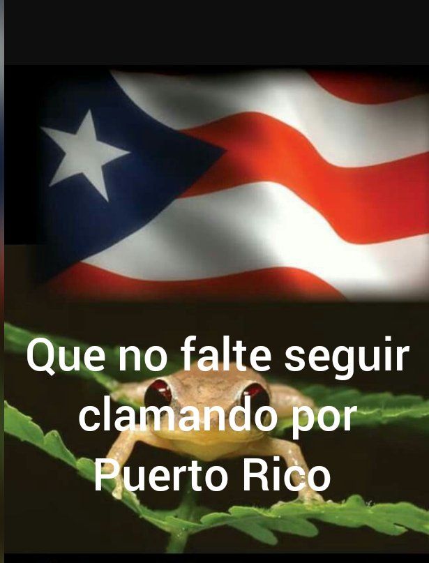 Aqui siempre | Scrolller