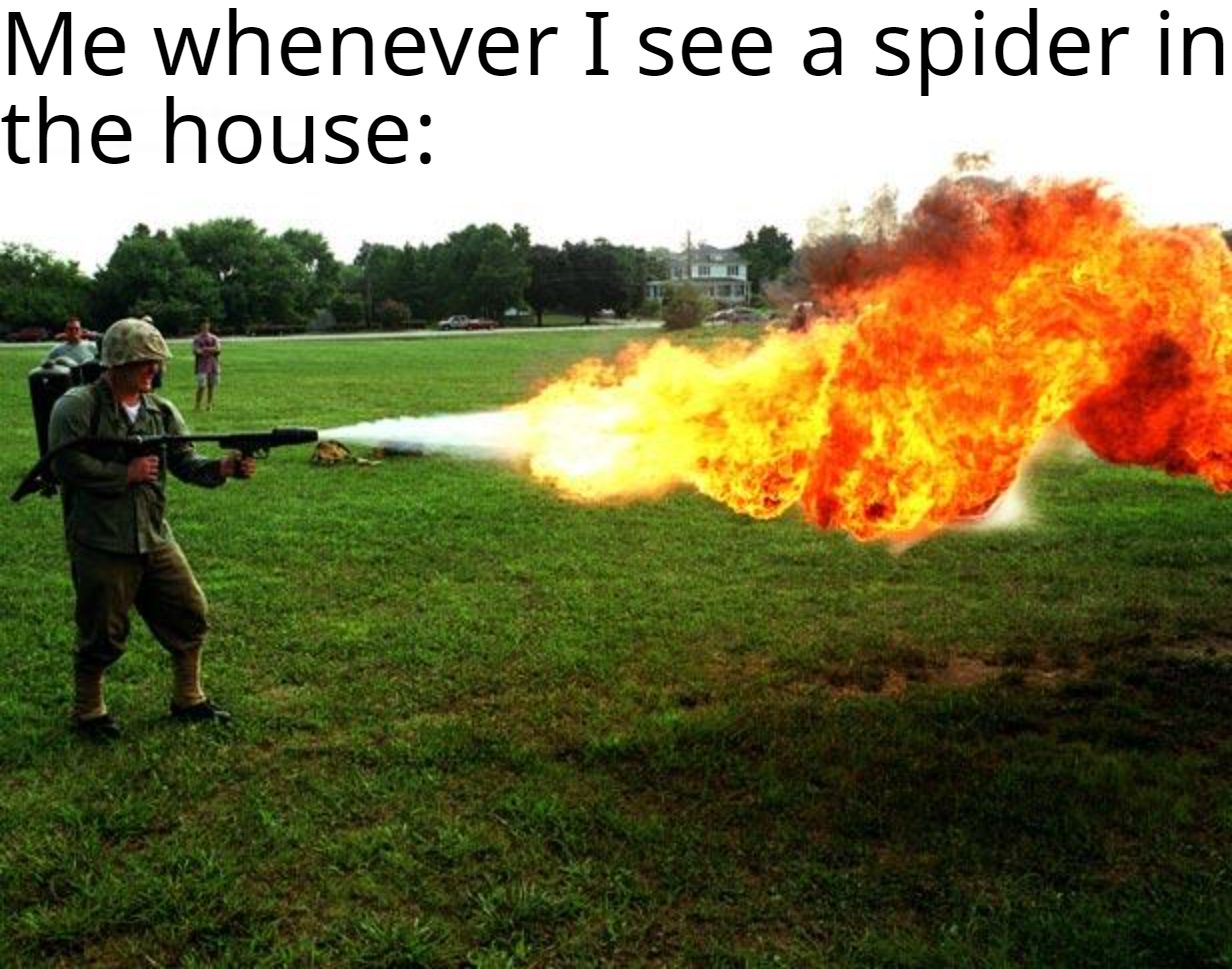 ARACHNOPHOBIA 100 | Scrolller