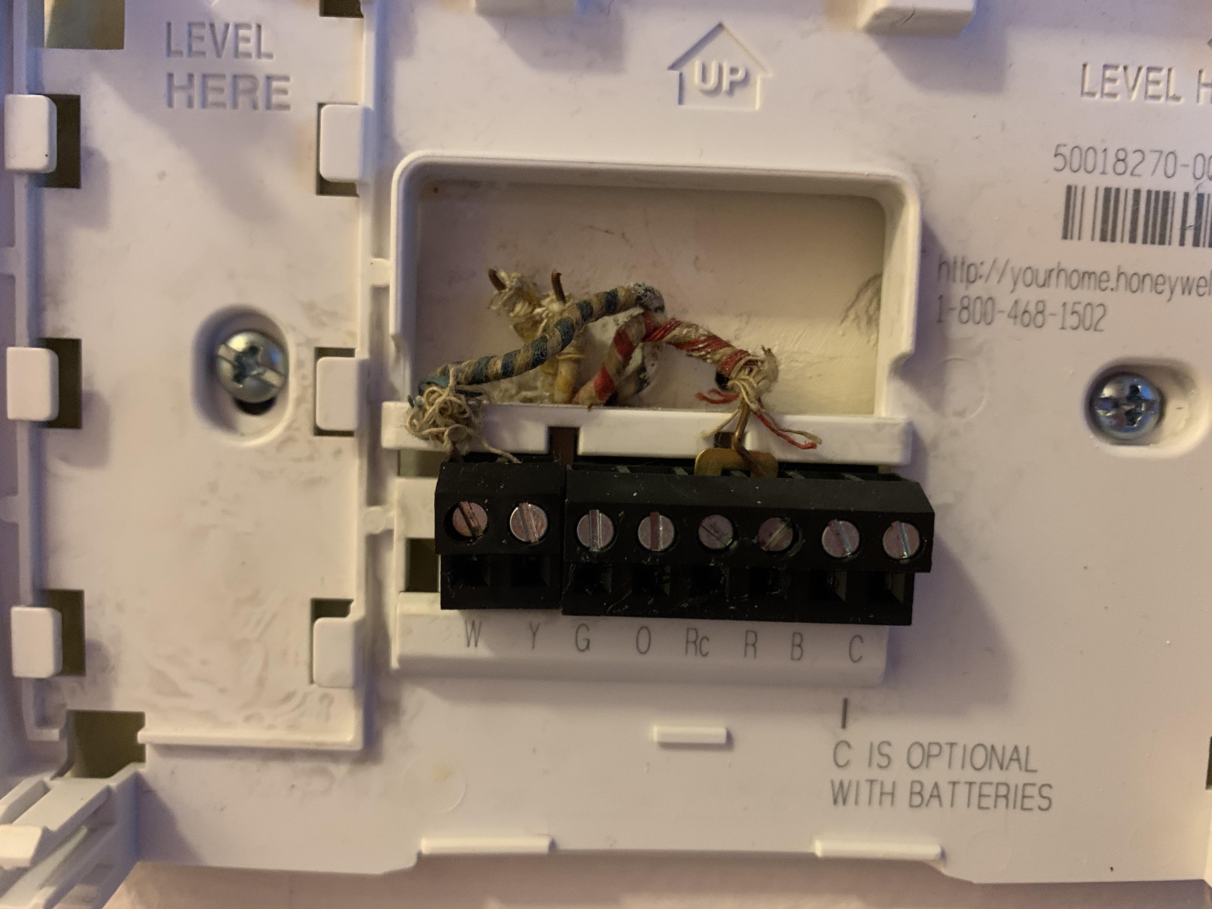 Are these stranded wires? | Scrolller