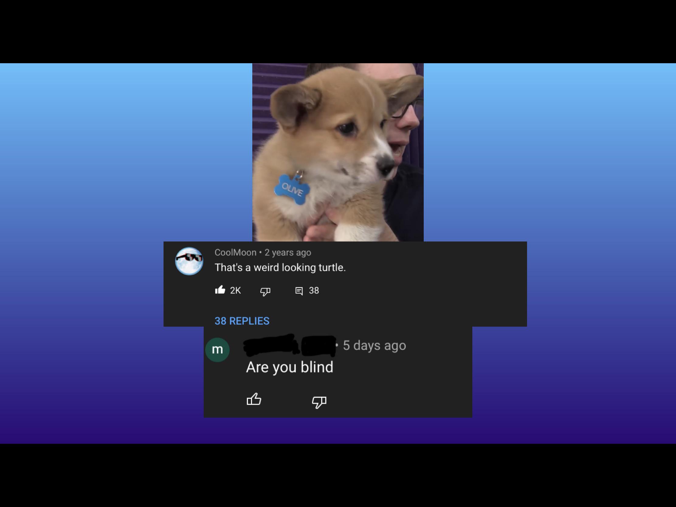 ‘Are you blind’ | Scrolller