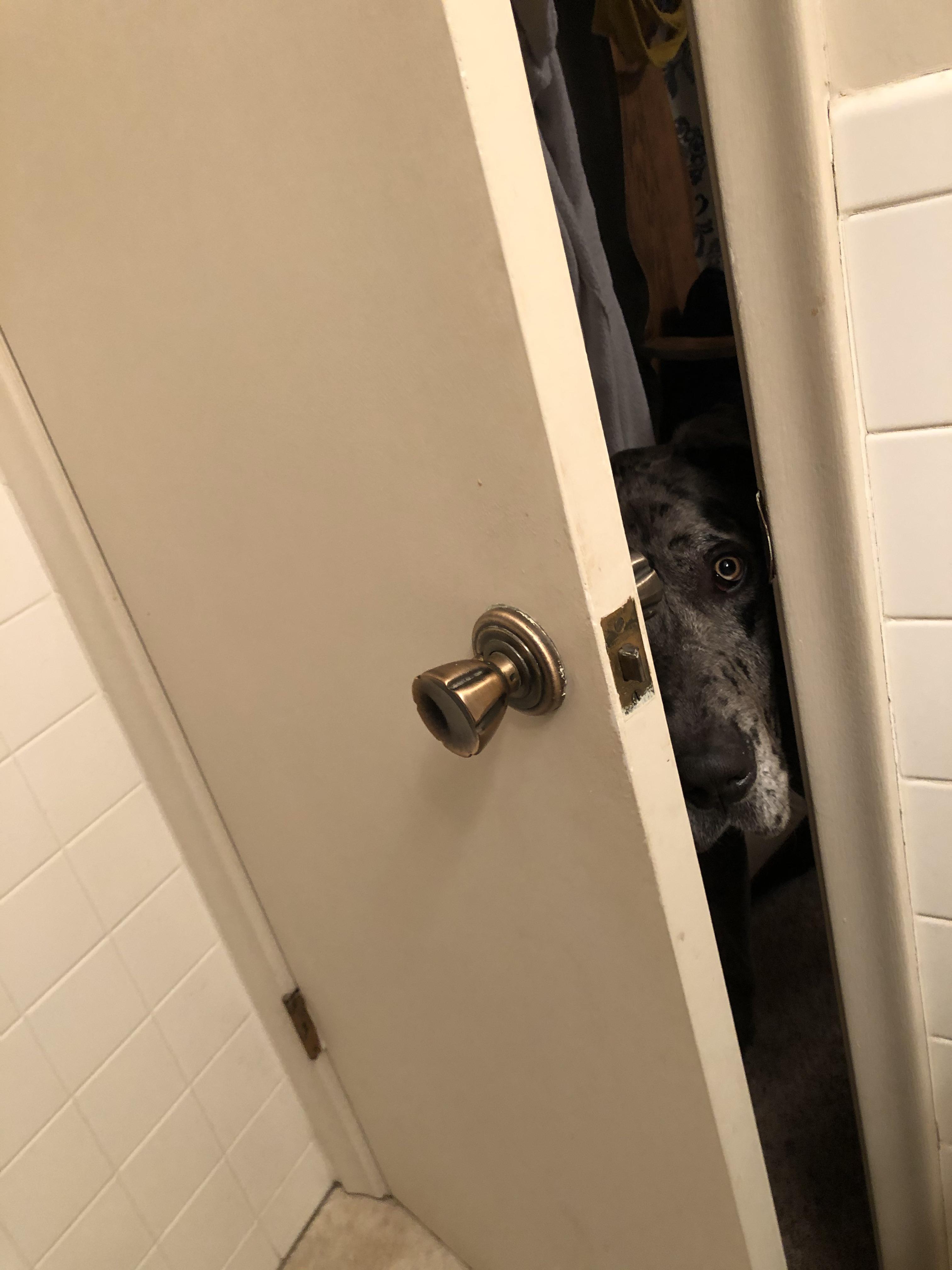 Are you pooping? | Scrolller