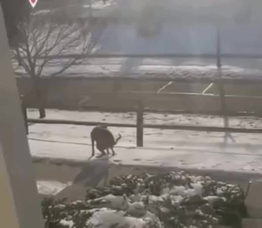 Are you seeing these shits? | Scrolller