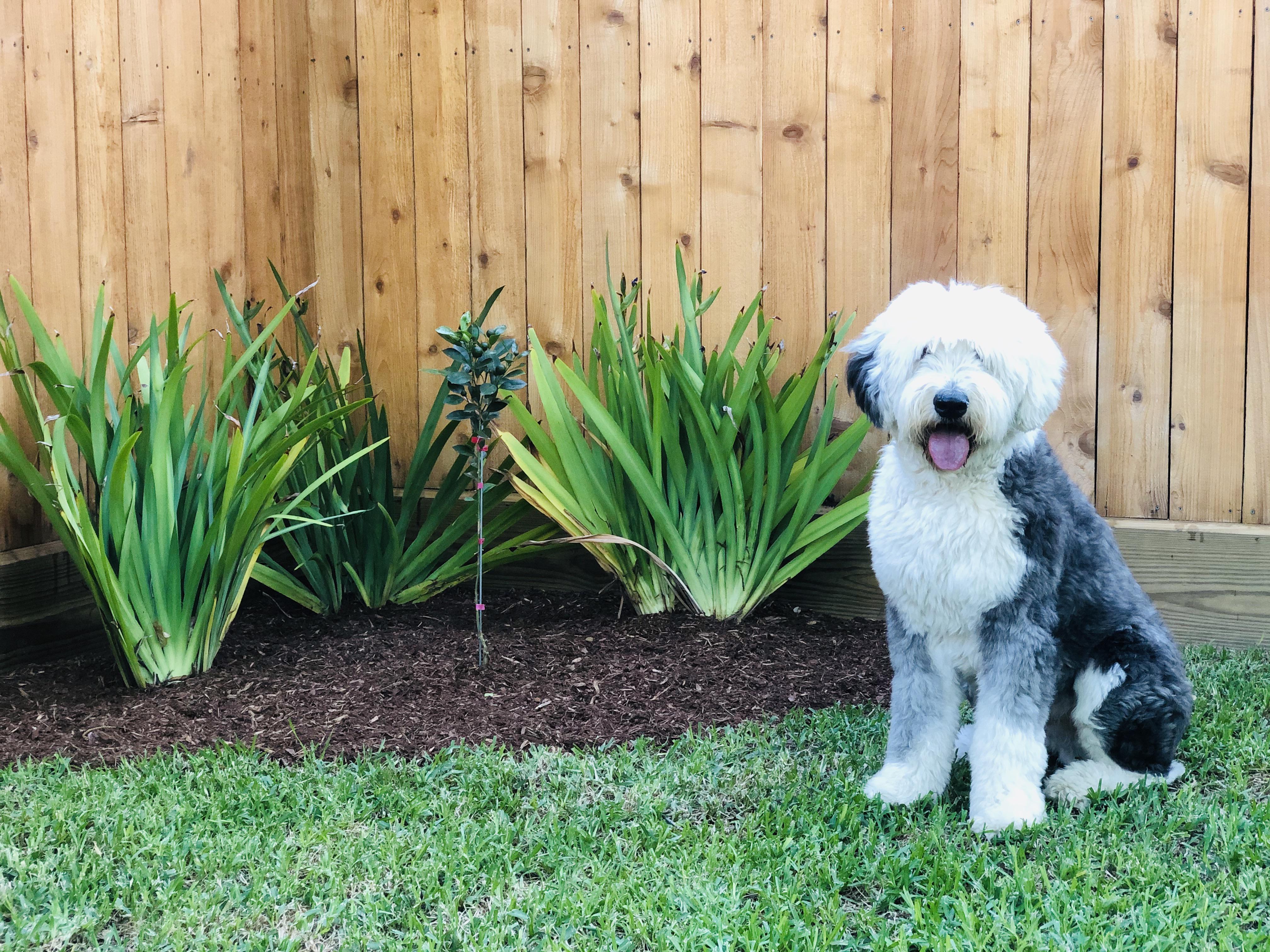 Arthur, the big goofball! | Scrolller