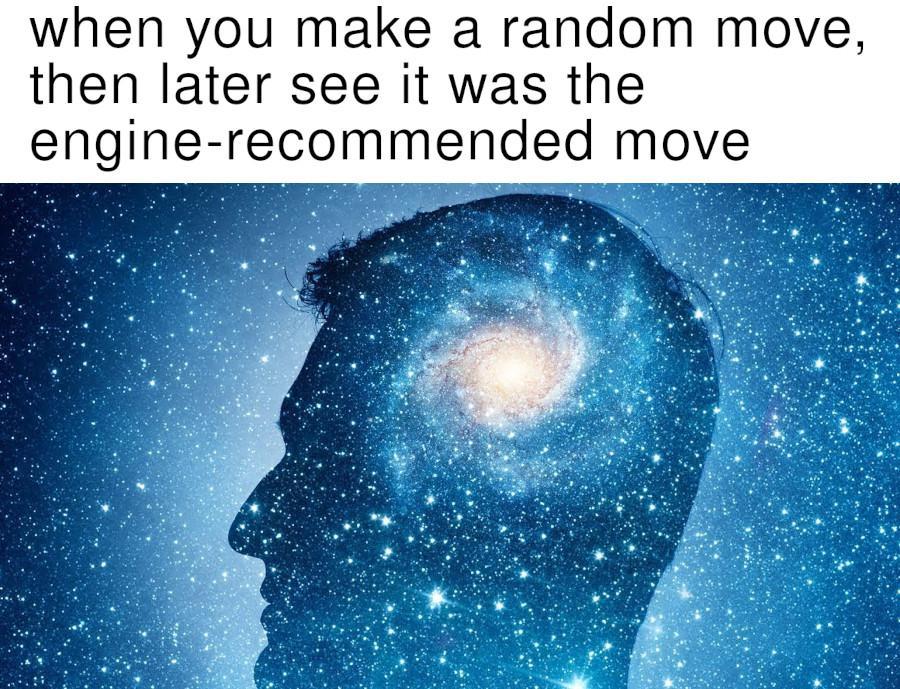 Ascending | Scrolller