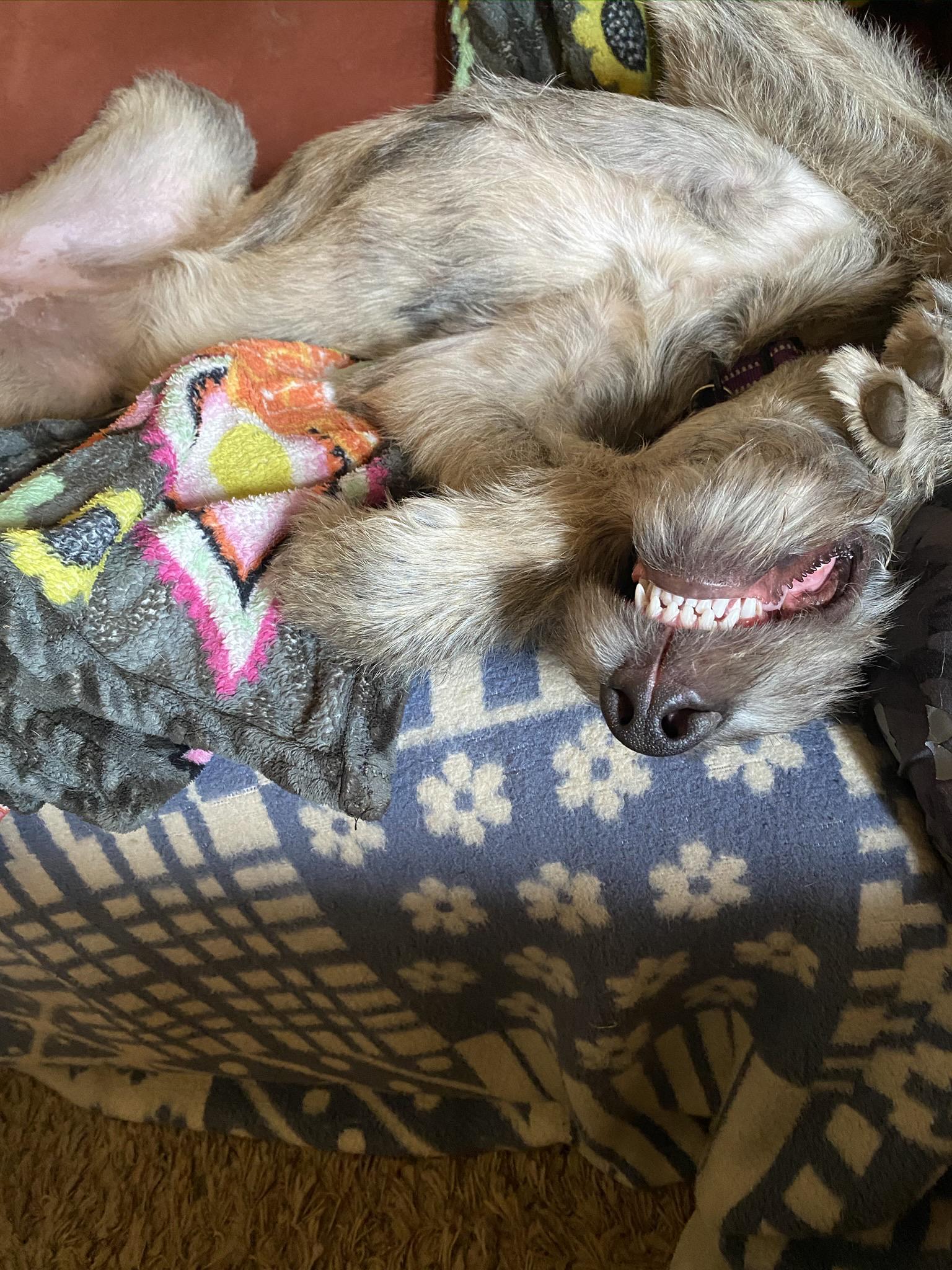 Astrid 5 months upside down sleep smiles | Scrolller