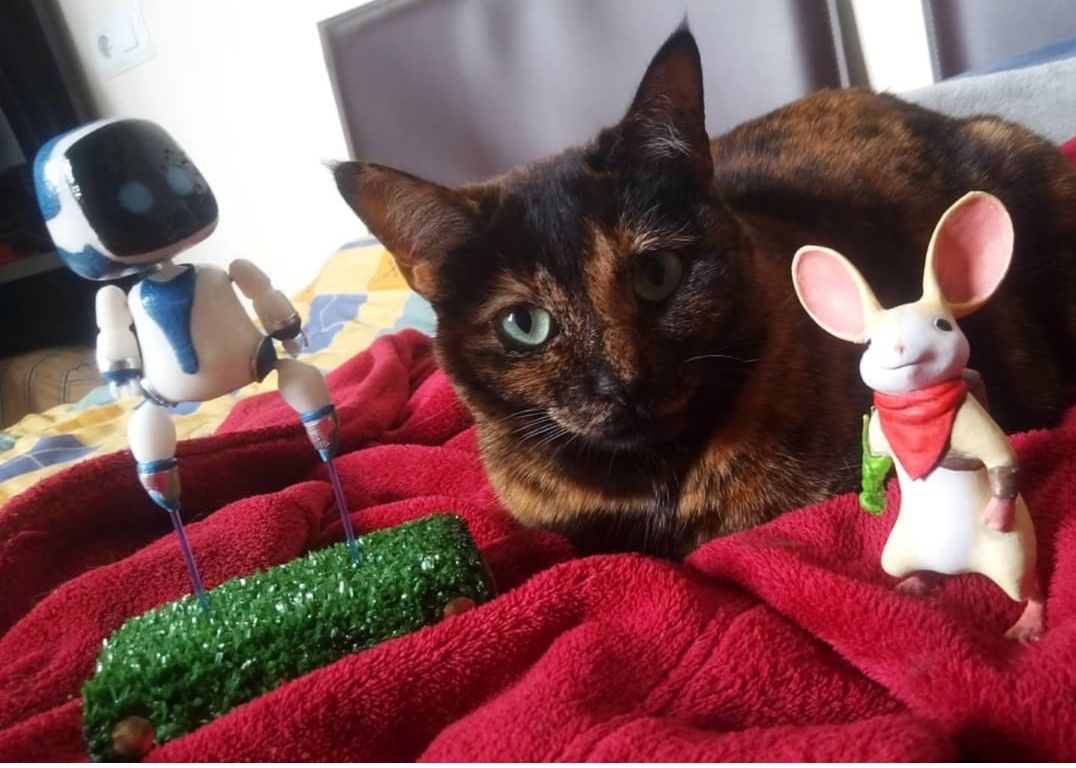 Astro and Quill!!! | Scrolller