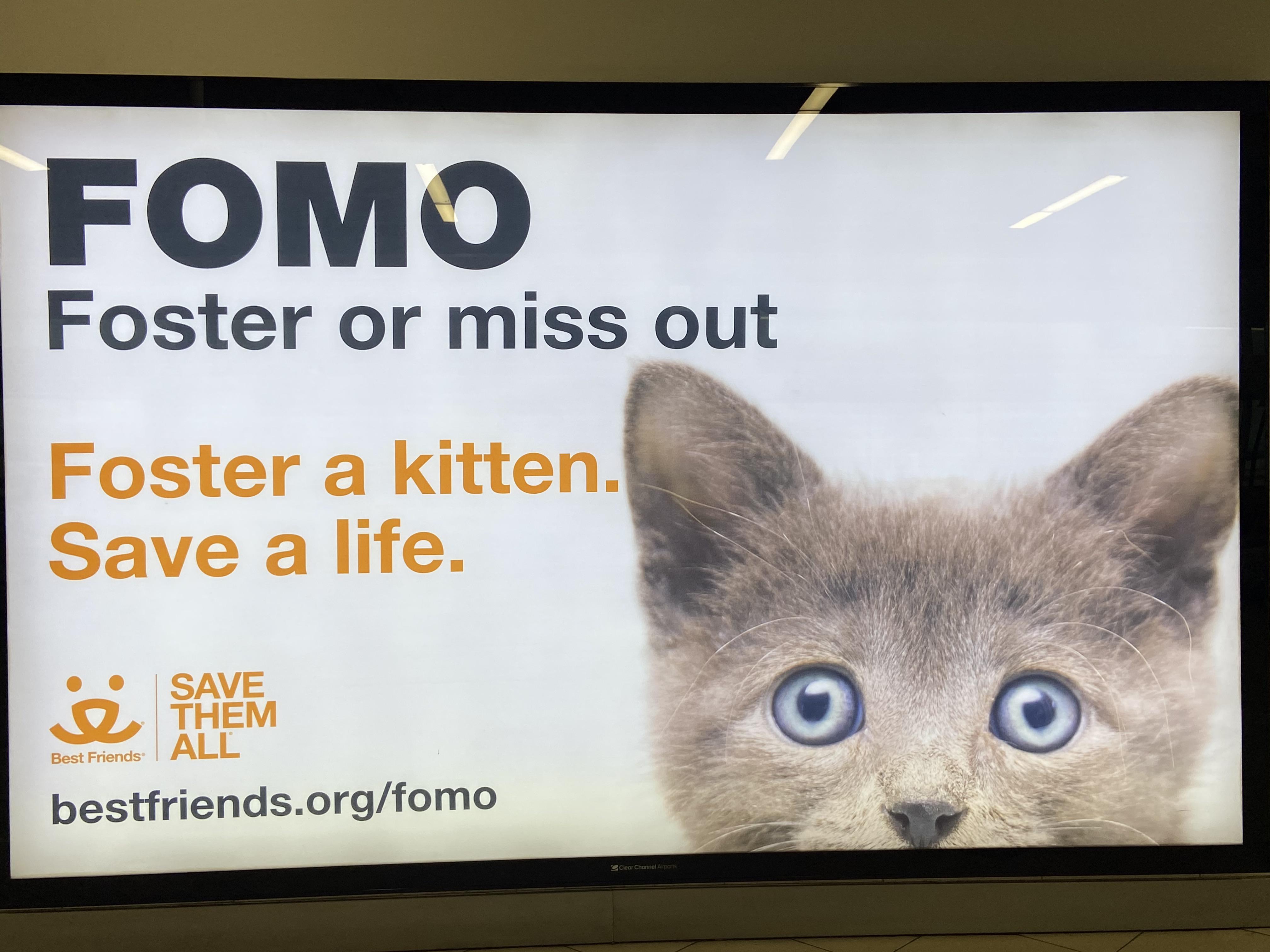 Atlanta Airport redefines FOMO. This made me smile. 😊 | Scrolller