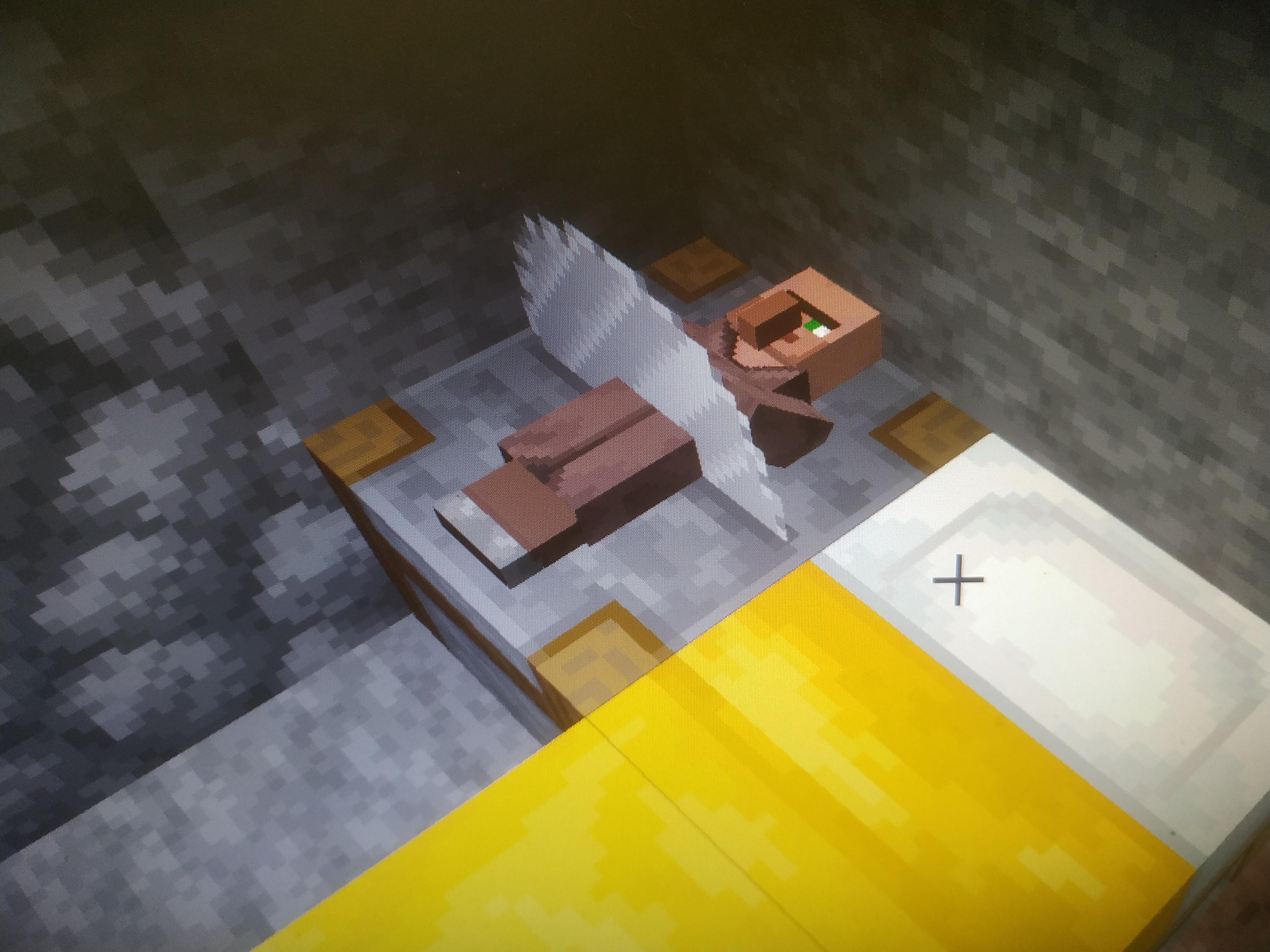 Attention villager being subjected to dissection | Scrolller