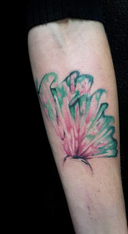 Aurora Australis | Scrolller