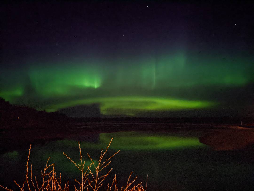 Aurora I caught last weekend on my pixel4. Haida Gwaii, Canada | Scrolller