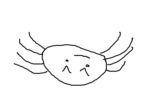 australian spoder | Scrolller