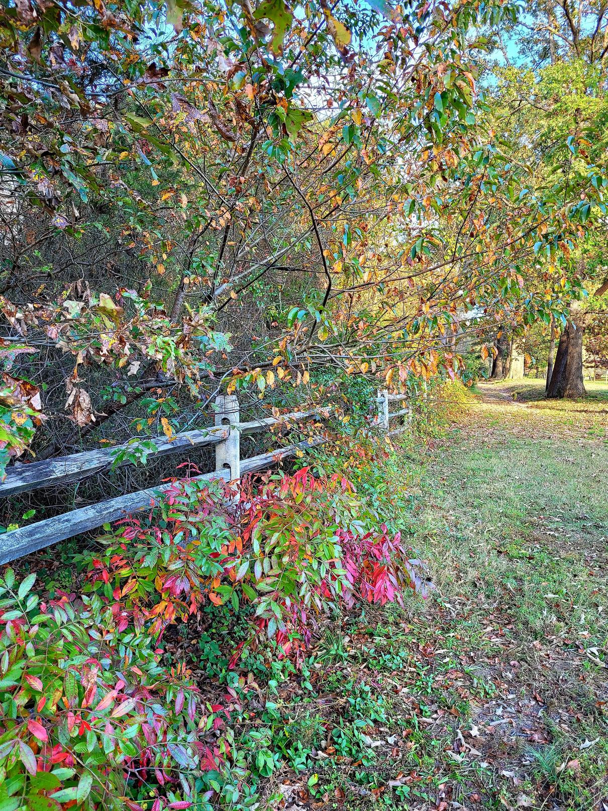 Autumn colors in Southern Maryland | Scrolller