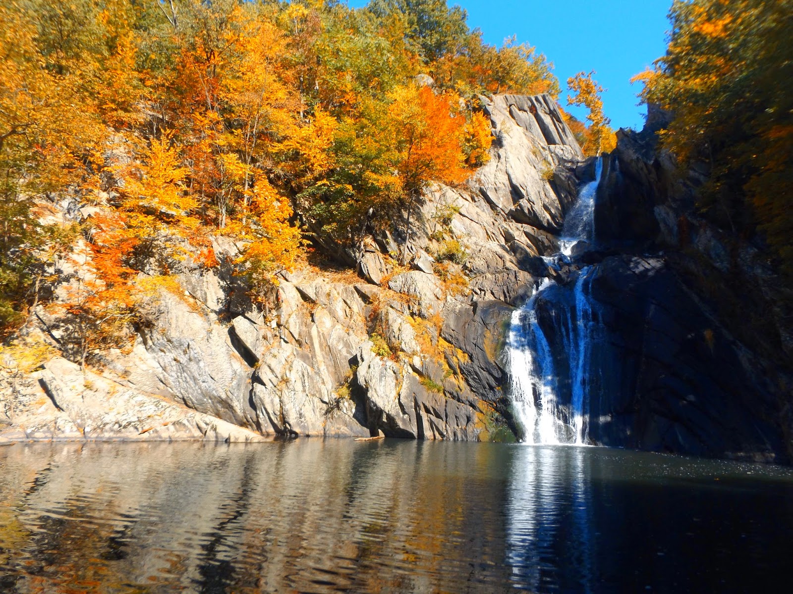 Autumn falls | Scrolller