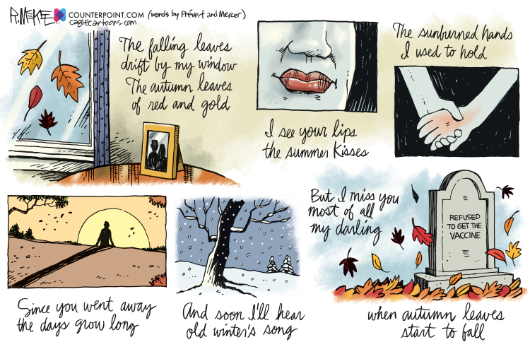 Autumn leaves | Scrolller