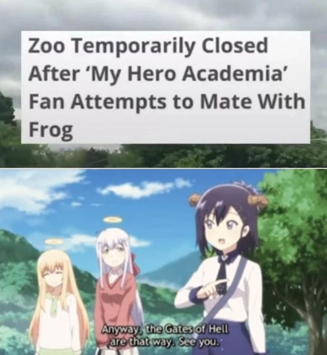 Average MHA fan | Scrolller