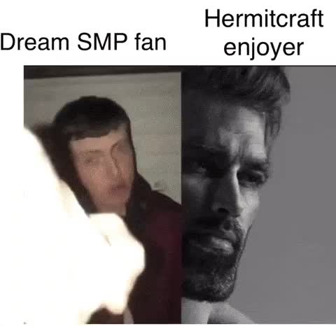 Average Minecraft fan | Scrolller