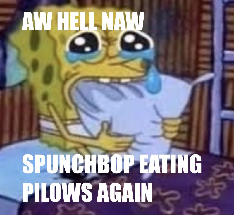 aw hell naw spunchbop eating pilows again | Scrolller