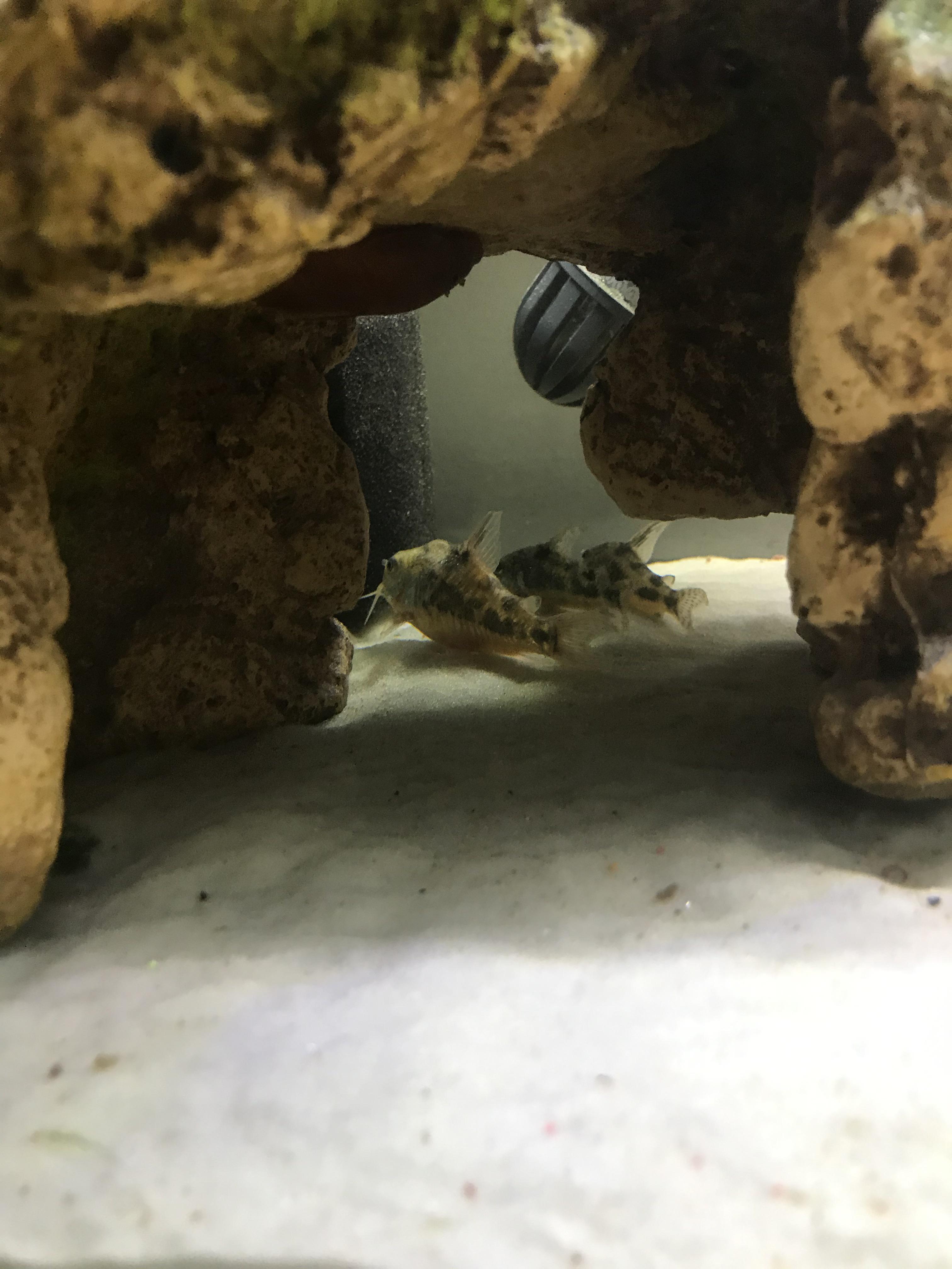 Aw how cute | Scrolller