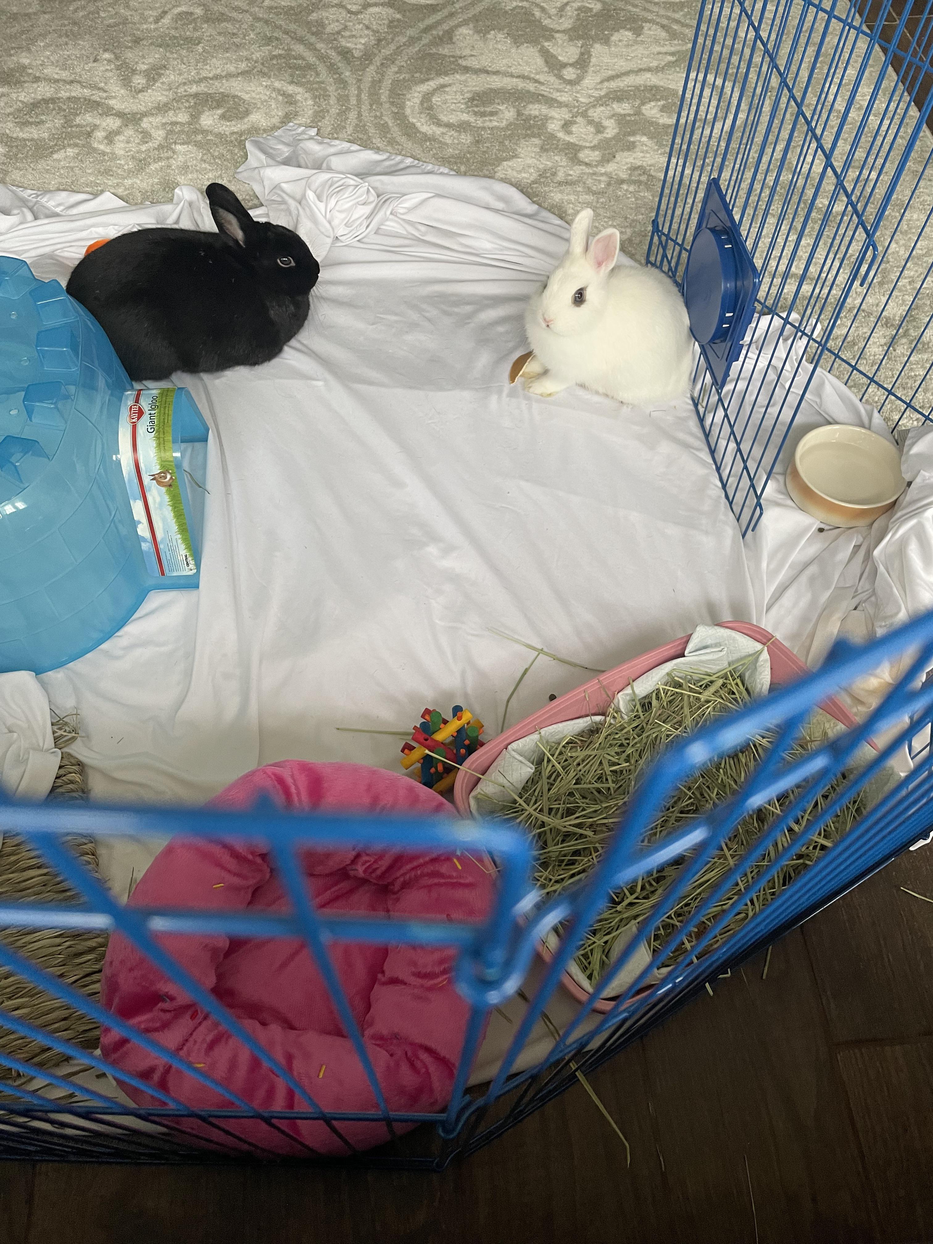 Awkward first date for Oliver and Millie | Scrolller