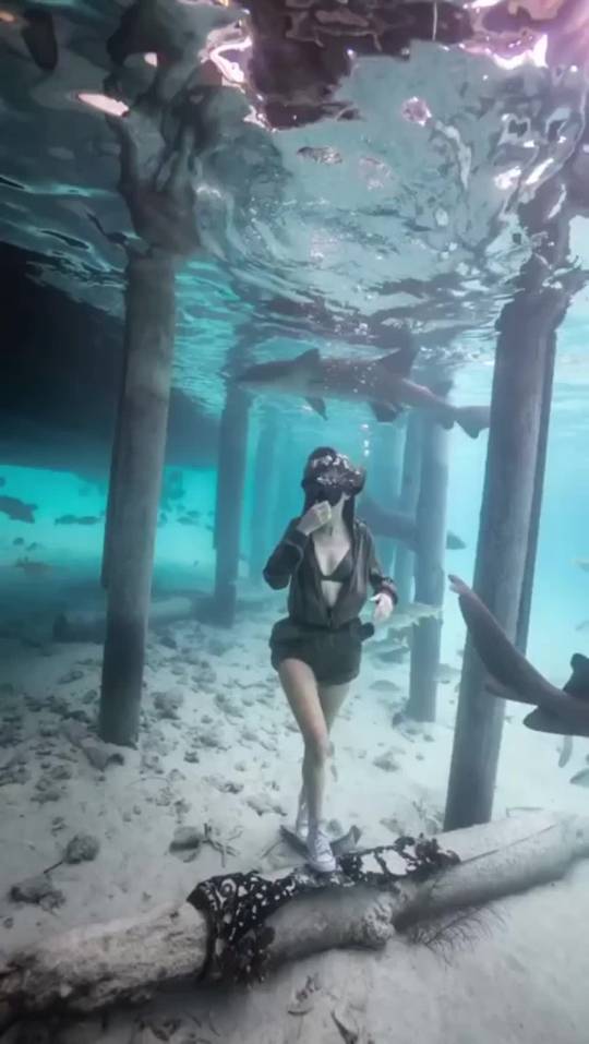 AWWW! Underwater Beauty...... | Scrolller