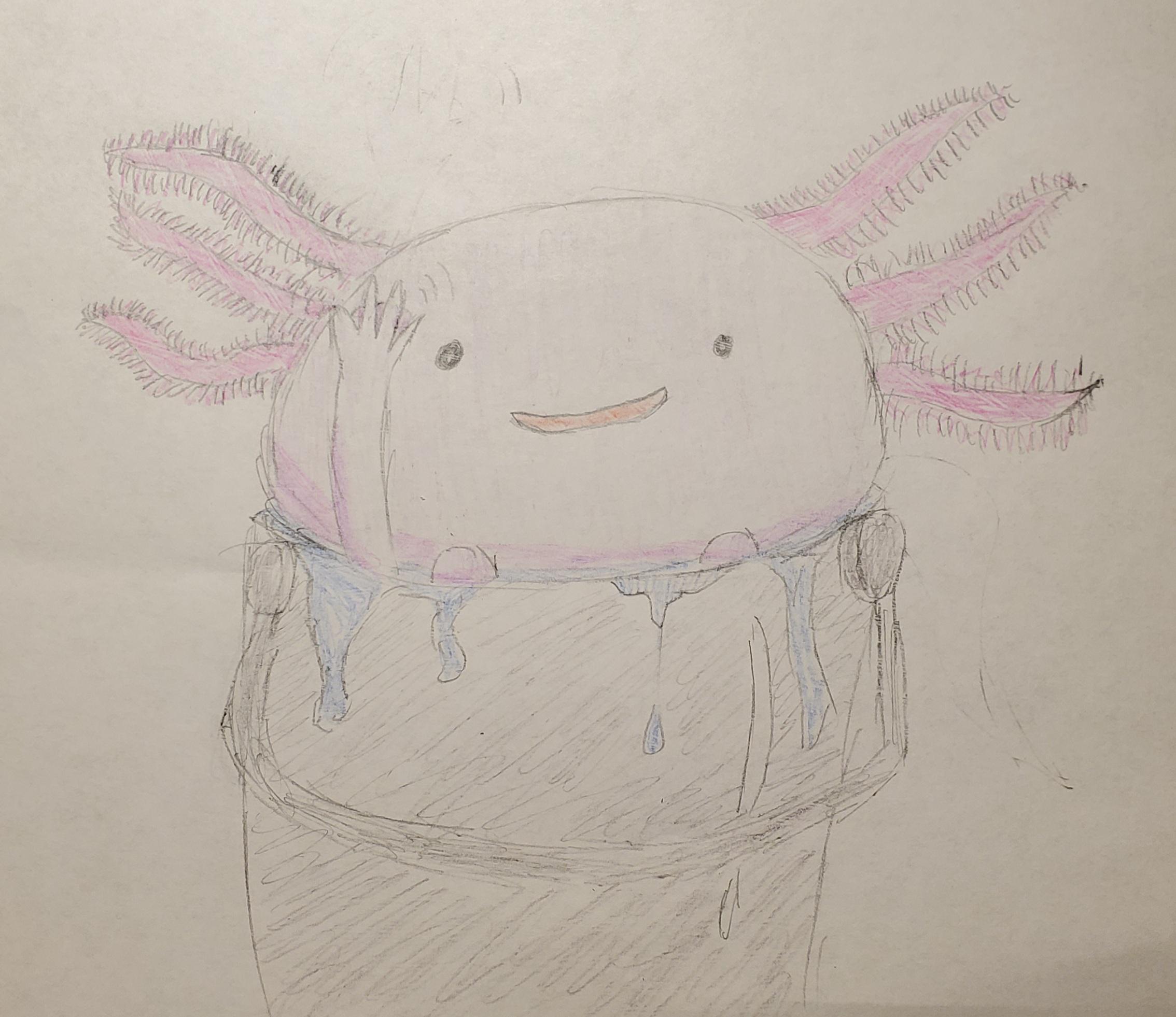 Axolotl bucket drawing i made :D | Scrolller