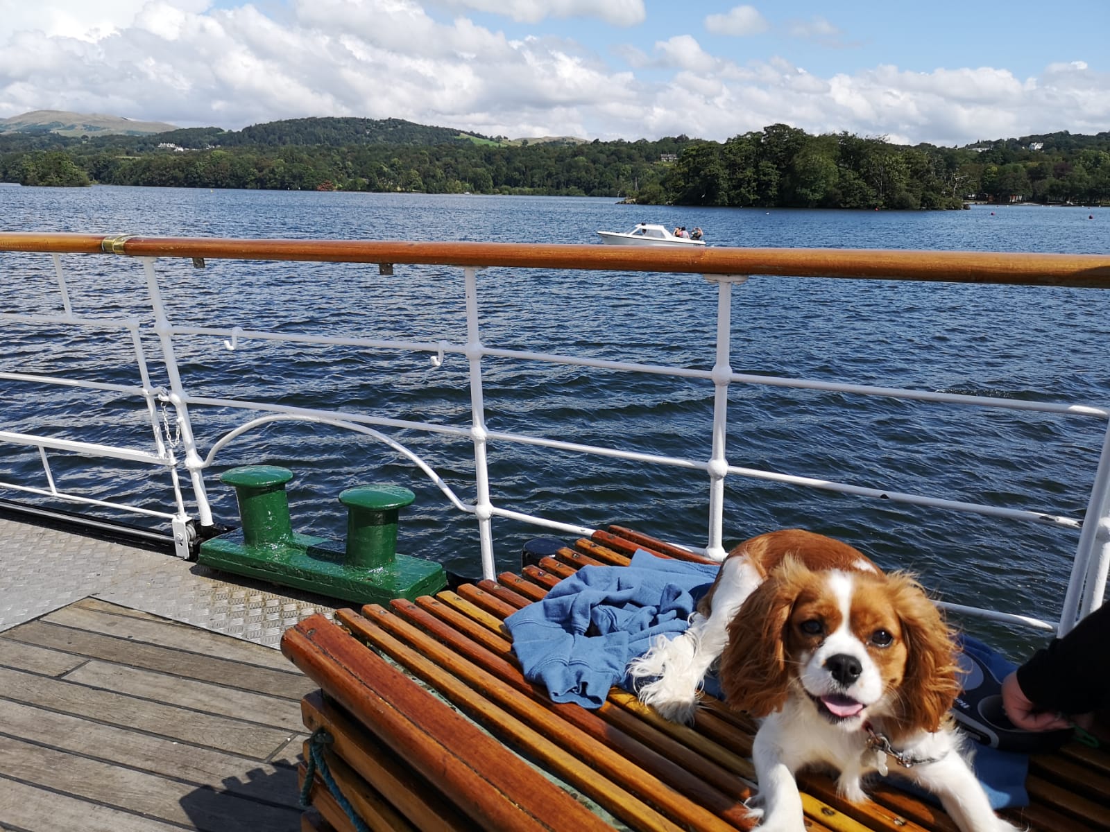 Aye aye captain! | Scrolller