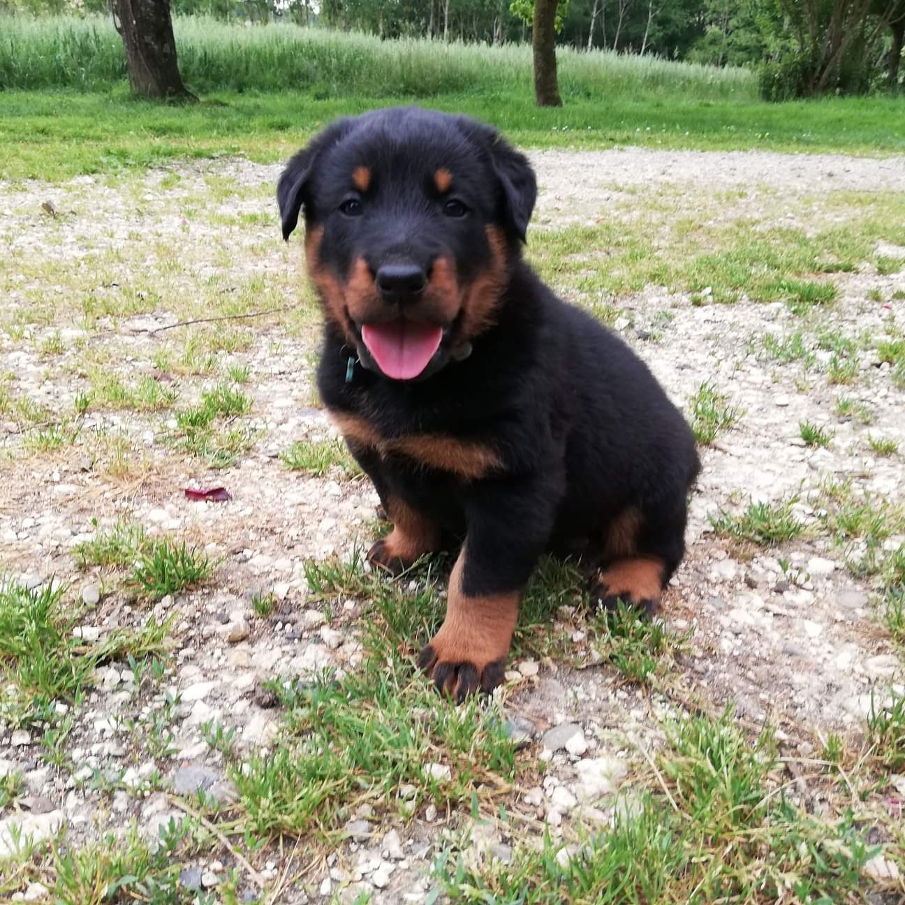 Babi growing fast | Scrolller