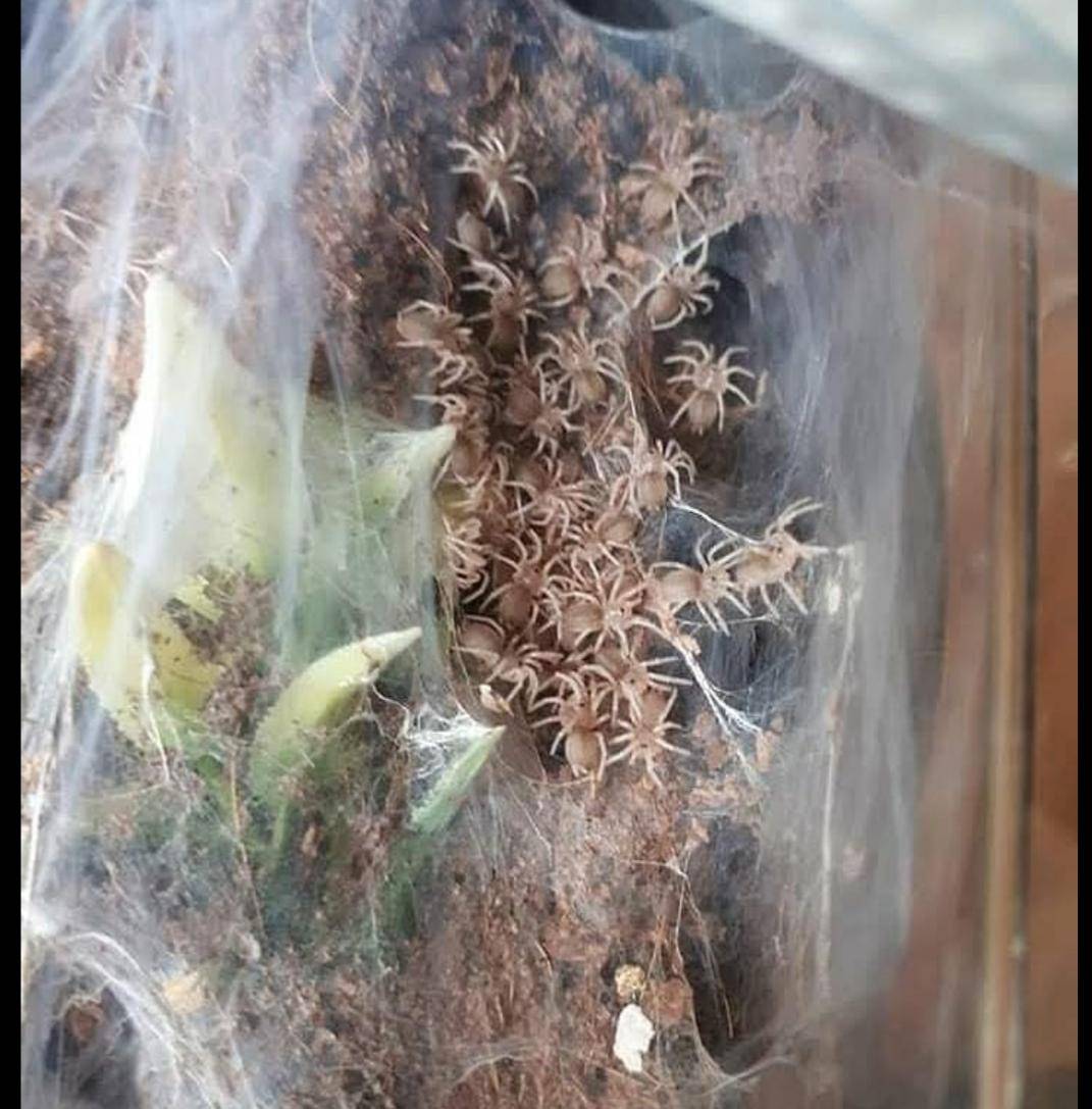 Babies 😍 | Scrolller