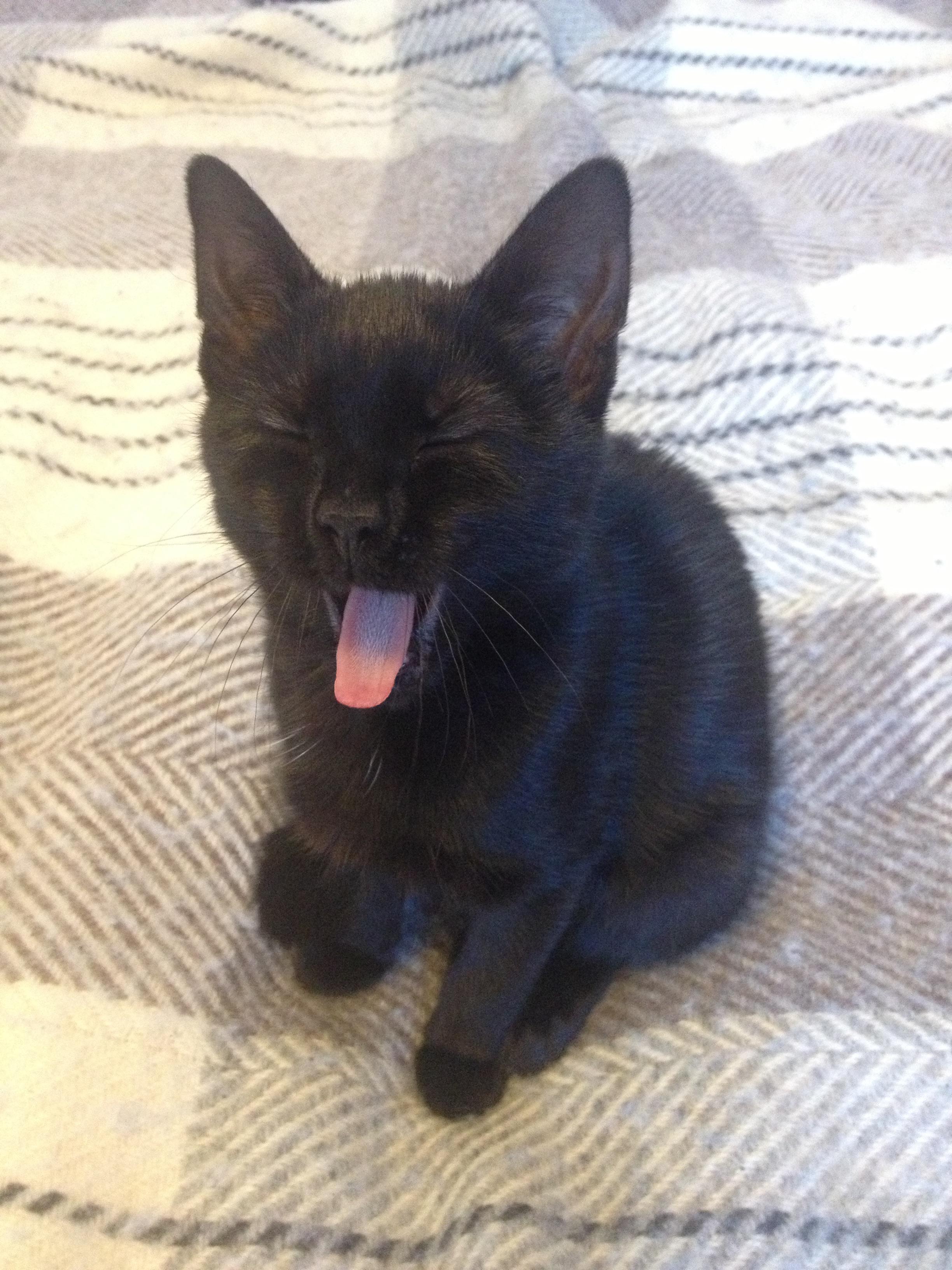 Baby void yawn | Scrolller