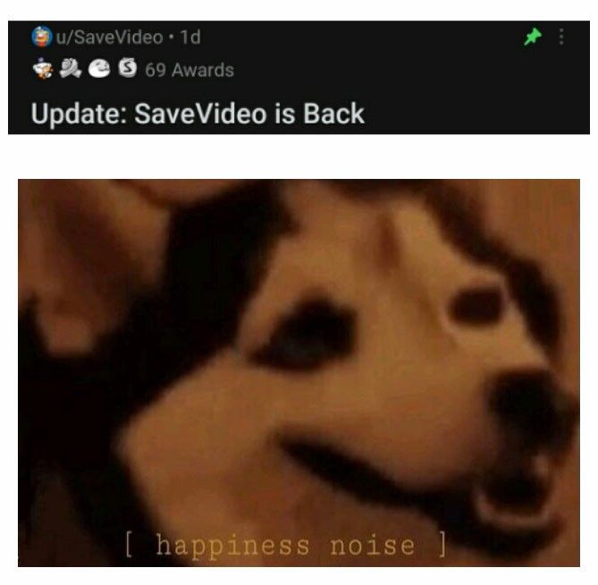 Back from the dead! | Scrolller