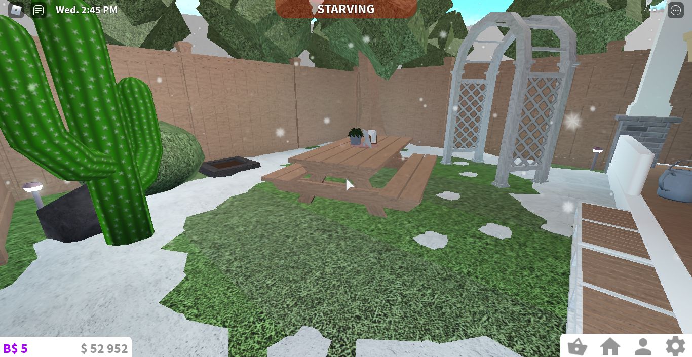 backyard | Scrolller