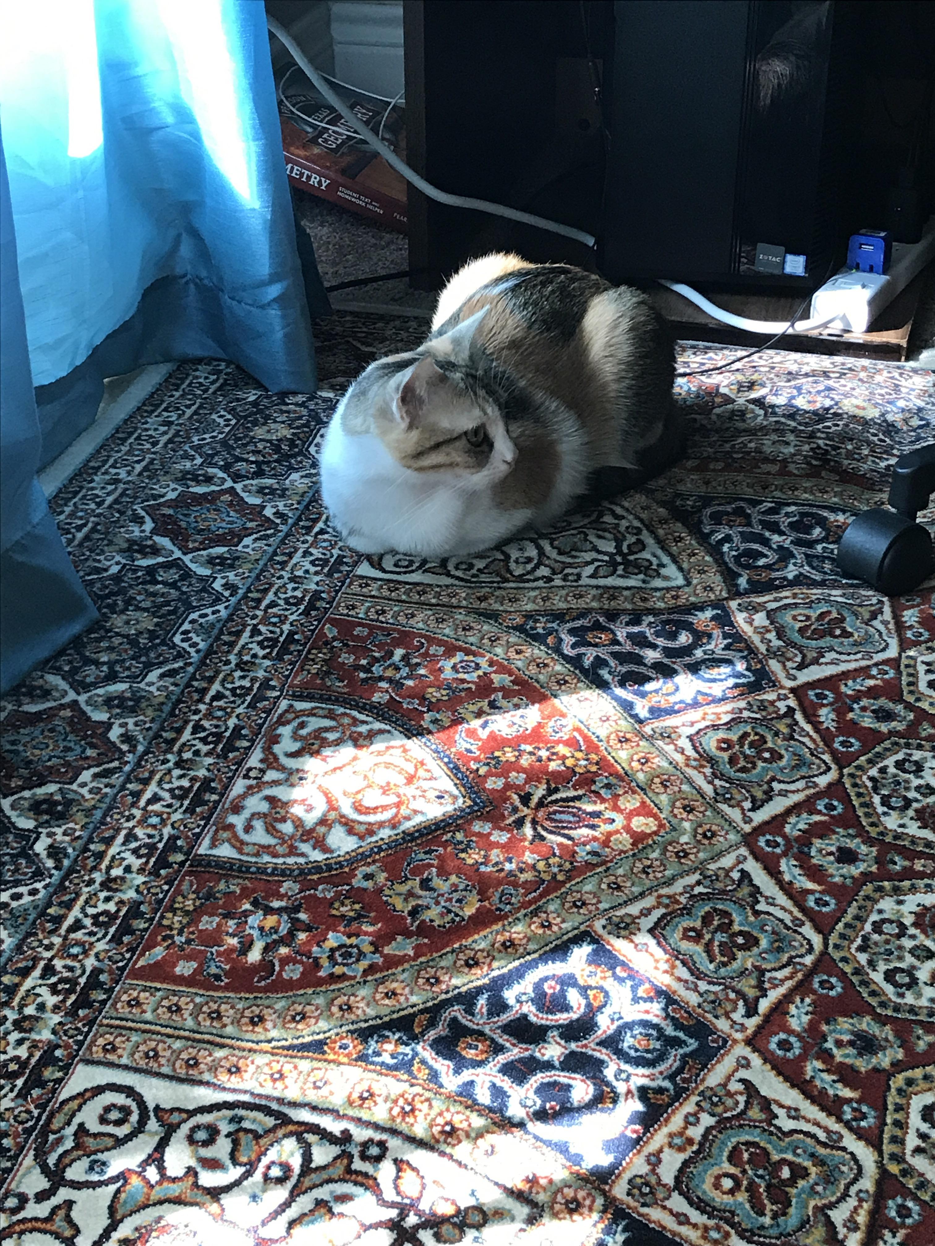 Bad quality but good loaf | Scrolller