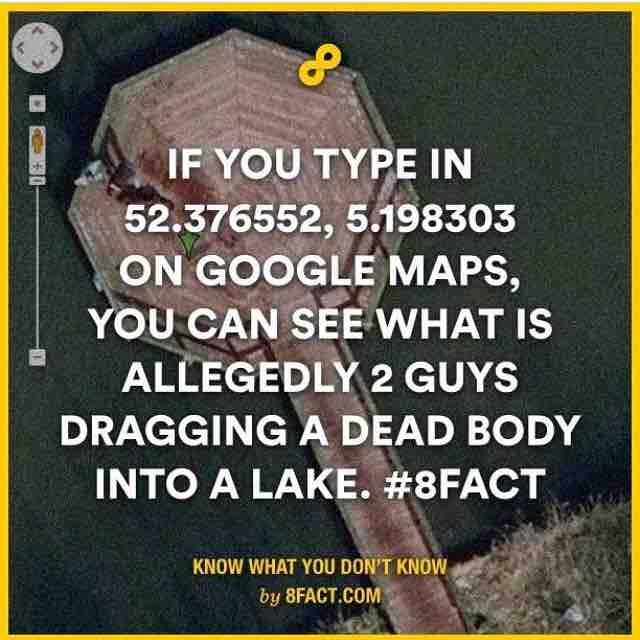 Bad timing guys, bad timing | Scrolller