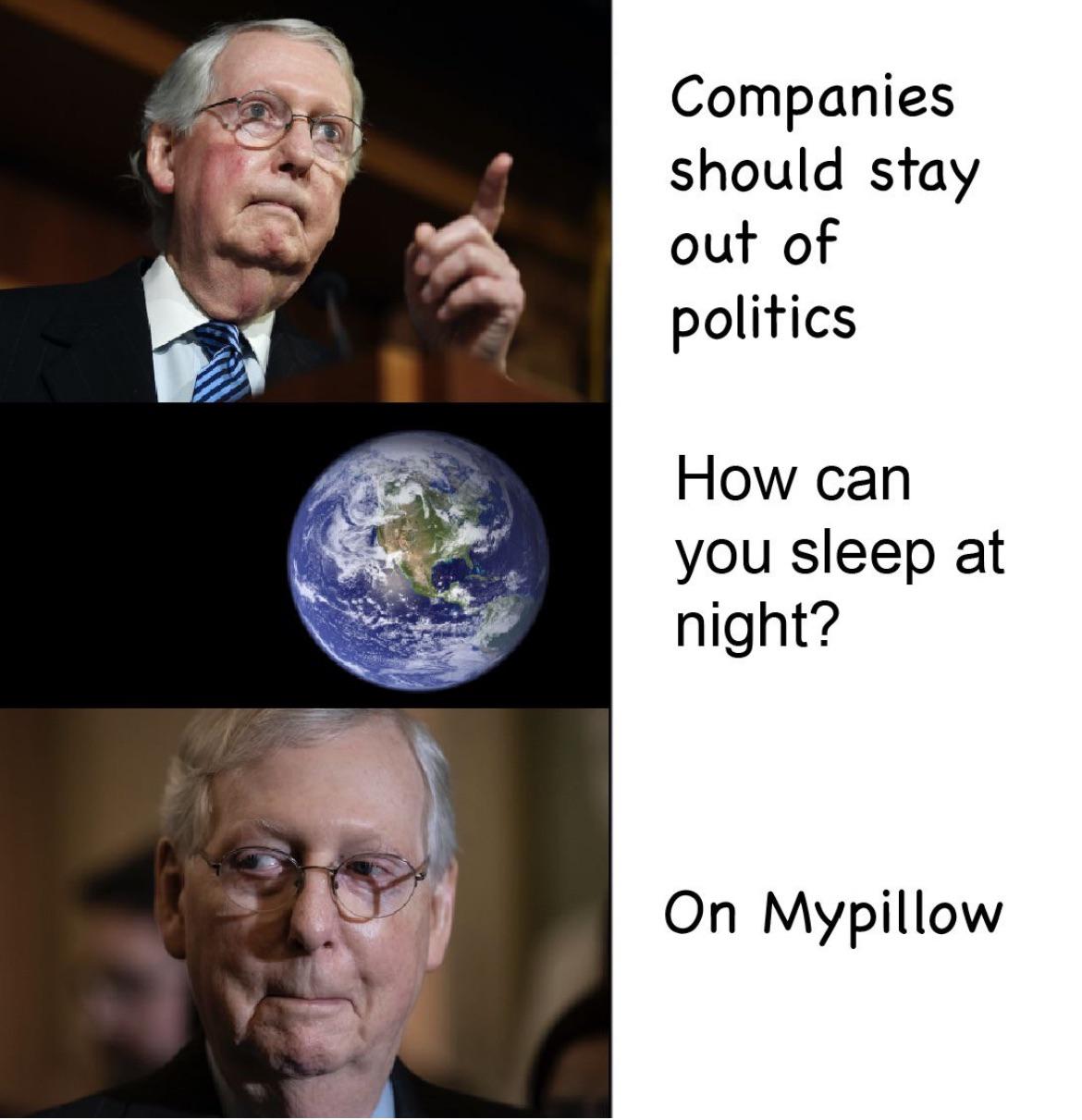 Bad turtle | Scrolller