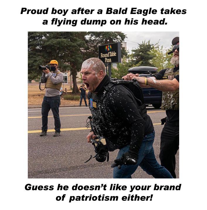 Bald Eagles Know! | Scrolller