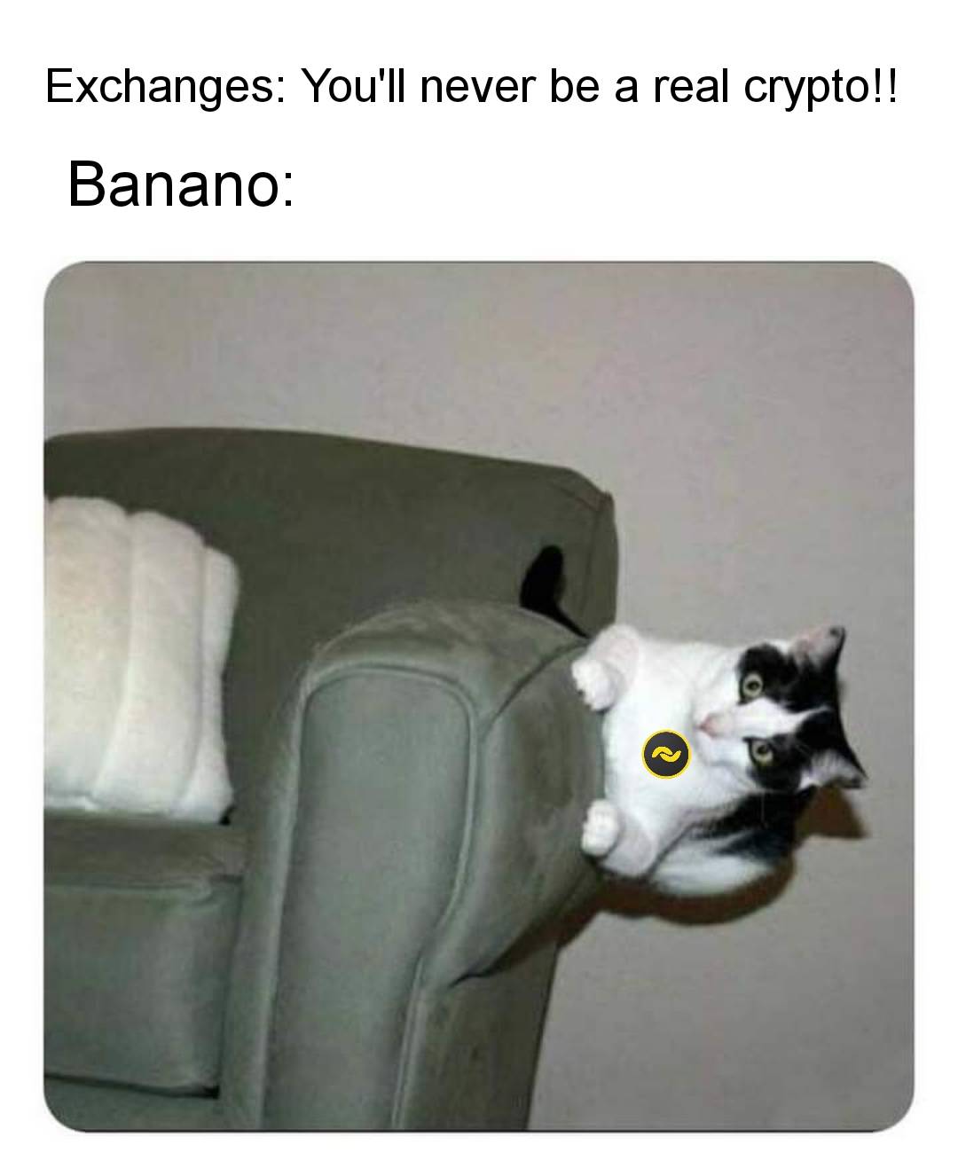 Banano go brr >;^D | Scrolller