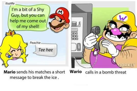 Based wario rule | Scrolller