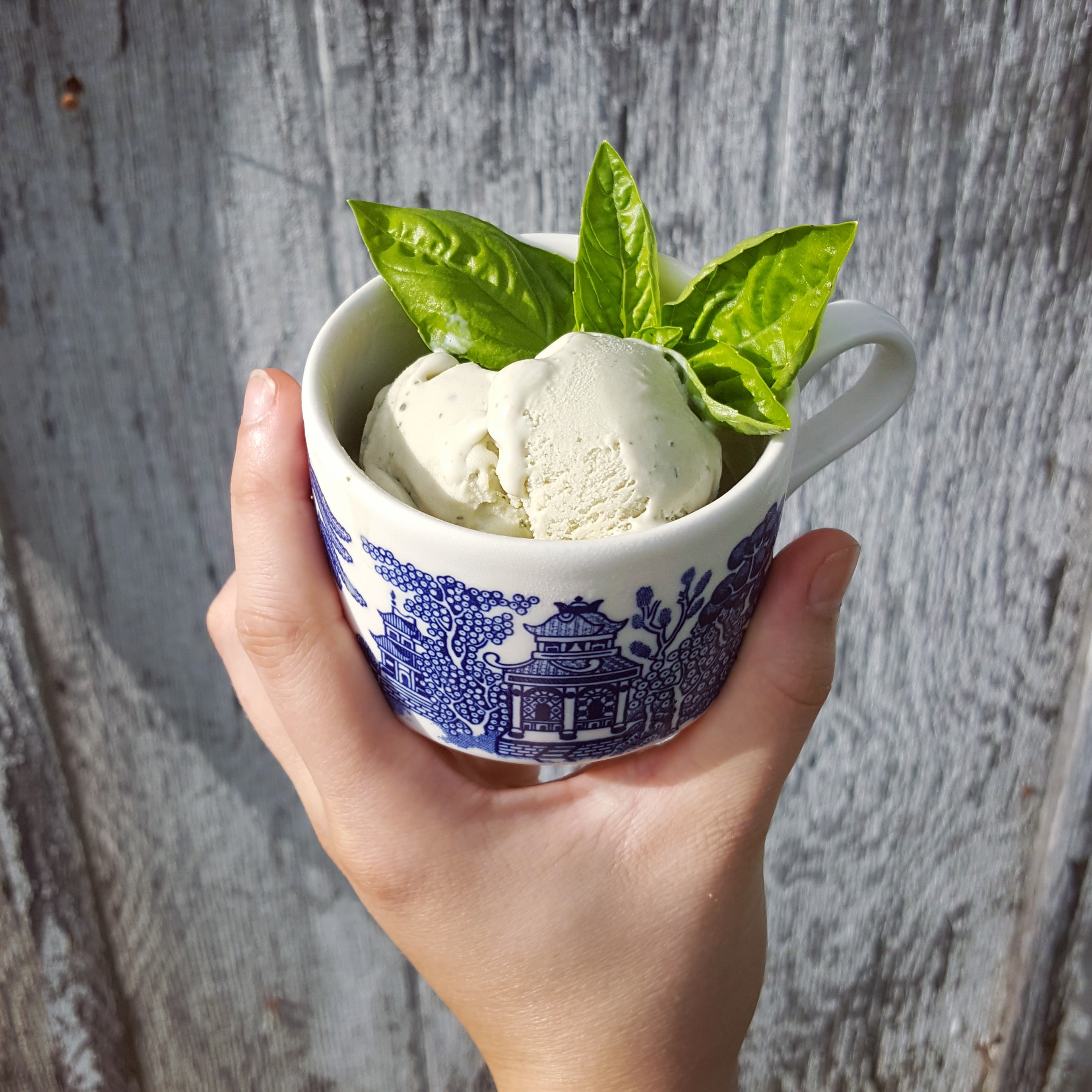 Basil Gelato | Scrolller